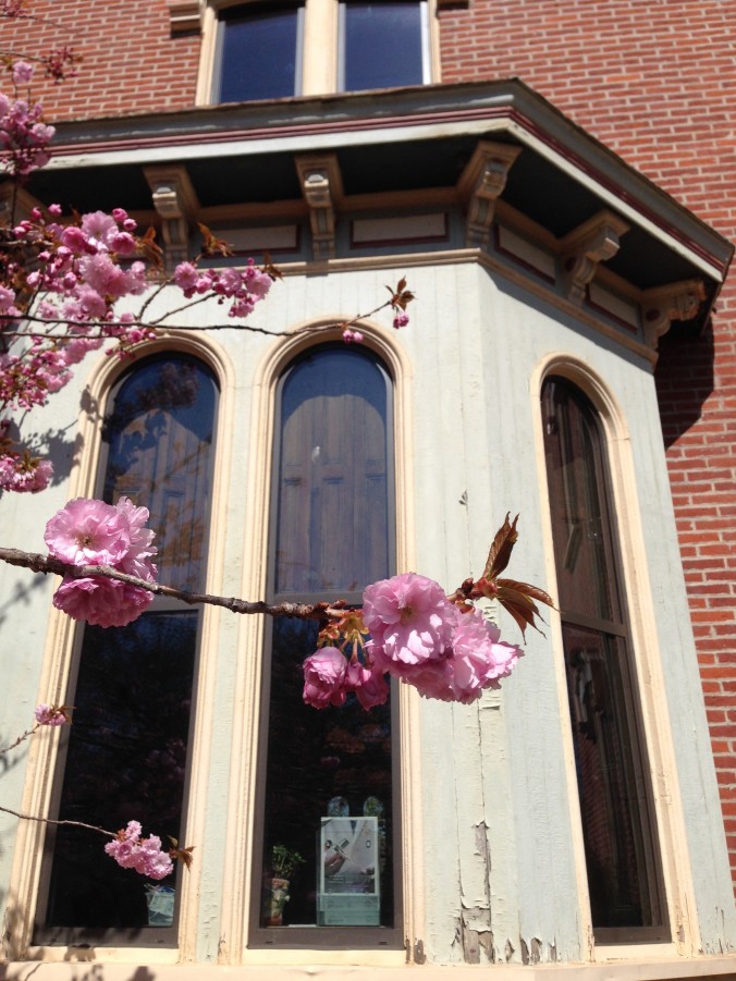 blooms – Andrew Bayne Memorial Library
